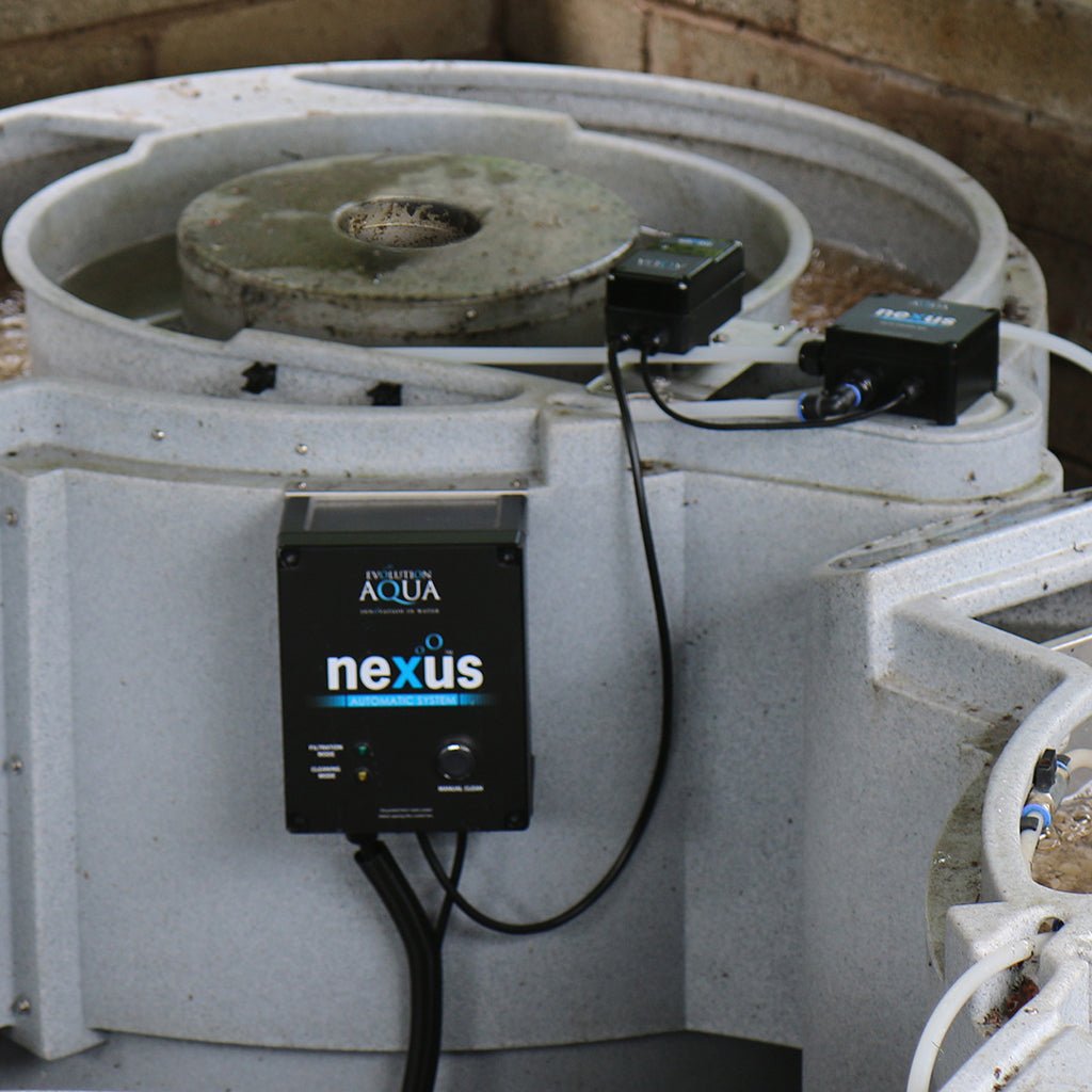 Evolution Aqua Nexus Automatic System for GRAVITY - Kitsu Koi